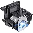 Amazon.com: Araca ELPLP49 /V13H010L49 Replacement Projector Lamp Bulb ...