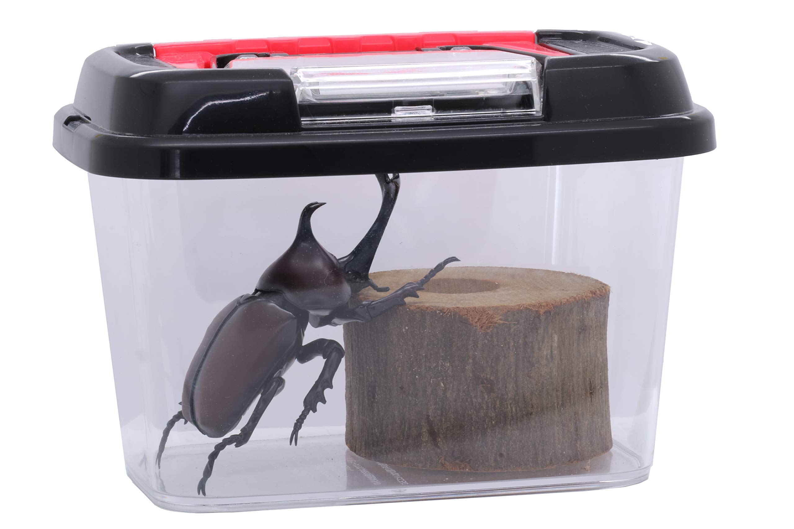 Mua Free Research Series No.21 Ikimono Hen Beetle Plastic Model trên ...