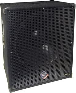 Amazon.com: Nady PSW18 Subwoofer : Musical Instruments