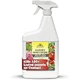 Amazon.com: Neudorff Garden Insecticide Spray for Roses and Flowers ...