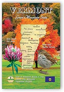 Amazon.com : VERMONT MAP postcard set of 20 identical postcards. VT ...