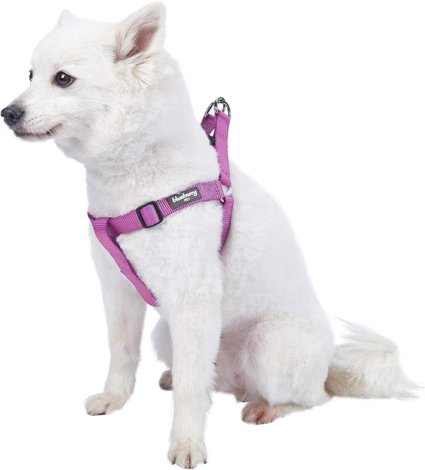 Blueberry Pet Step-in Classic Dog Harness, Chest Girth 67cm-98cm ...
