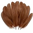 Amazon.com: PMYUMAO 300pcs Brown Goose Feathers Natural Bulk, 5-7inch ...