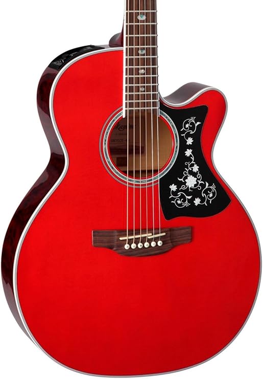 Amazon.com: Takamine 6 String Acoustic-Electric Guitar, Right Handed ...