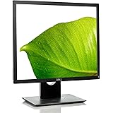 Amazon.com: Dell P1913SF 19" WideScreen Screen 1440 x 900 Resolution ...