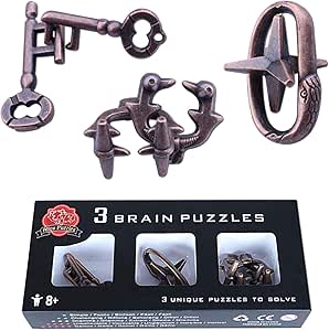 Amazon.com: Brain Teaser Puzzle 3D Unlock Interlocking Jigsaw Metal ...