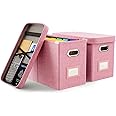 Amazon.com: Oterri File Organizer With Lid, Hanging Filing Box With ...