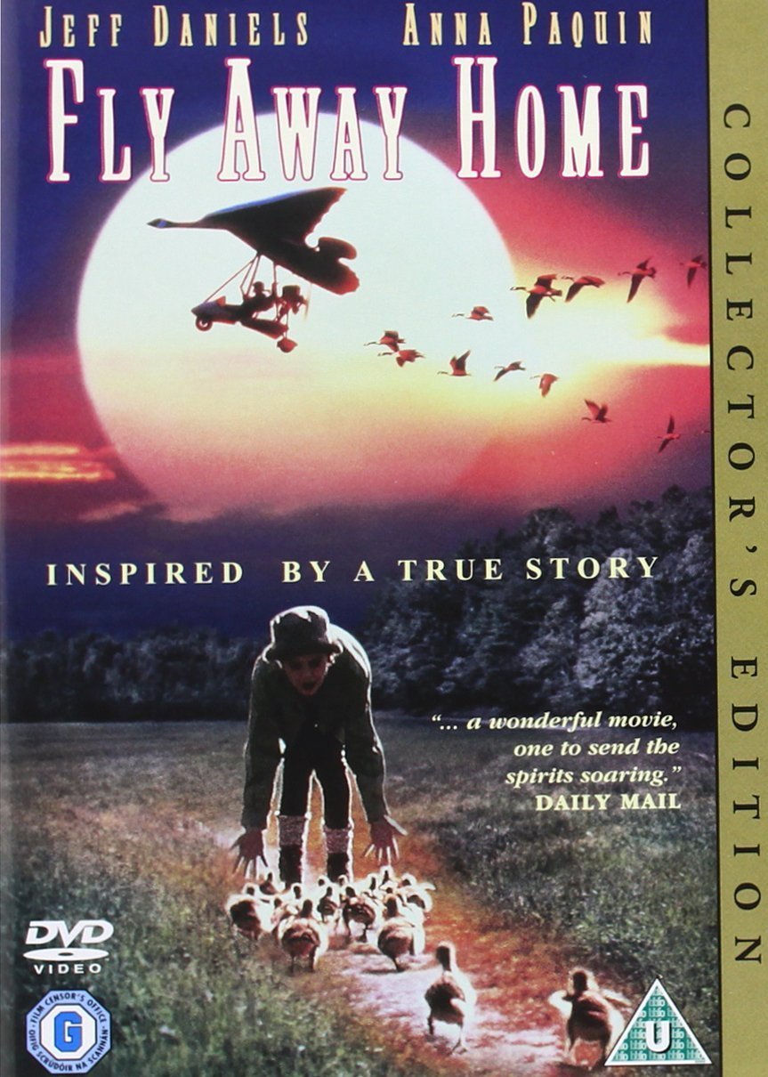 Amazon.com: Fly Away Home [DVD]: Movies & TV