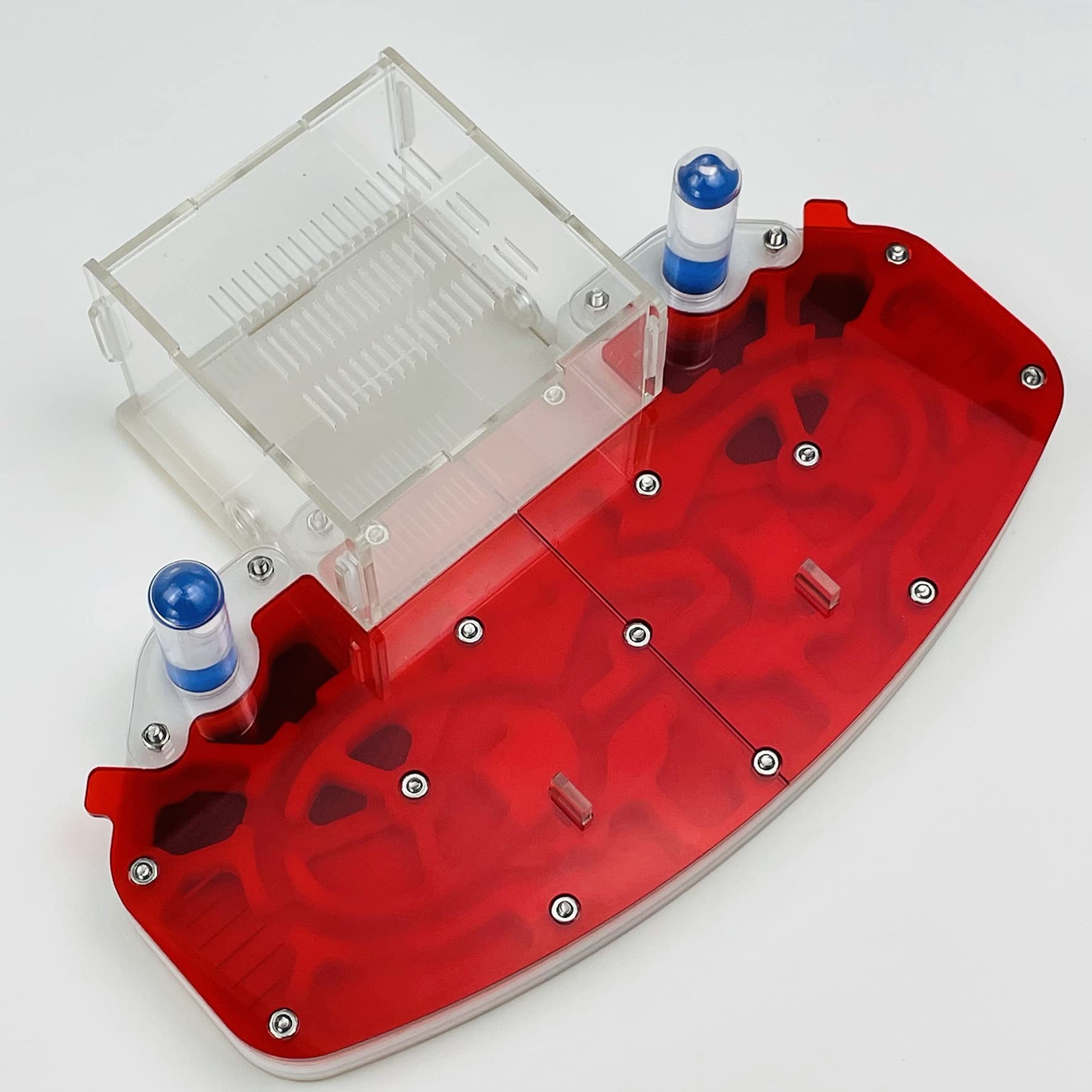 Mua Large Size 24 x 18 cm Arylic Ant Nest, Ant Farm, Ant Habitat ...