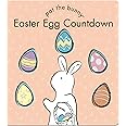 Amazon.com: Easter Egg Countdown (Pat the Bunny): 9780593426852: Random House, Flint, Gillian: Books
