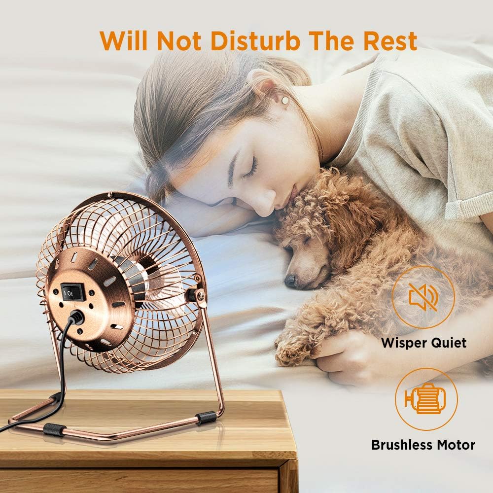 EasyAcc USB Desk Fan 5 Inch Desktop Silent Fan Air Circulator 2 Speeds ...