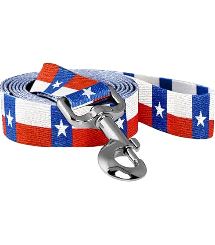Confederate Flag Dog