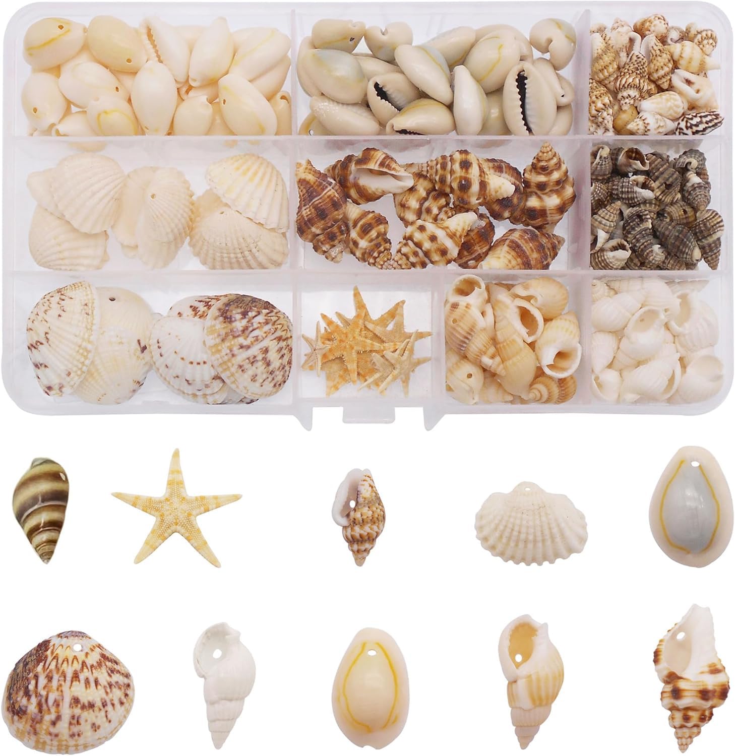 yaokan 170PCS/Box 10 Styles Sea Shell Cowrie Conch Starfish Ocean Beach ...
