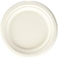 Amazon.com: Hefty PCTD7730000CBT Super Strong Paper Plates (Pack of 30 ...