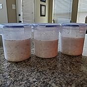 Amazon.com: Overnight Oats Container Jar (4-Piece set) - 16 oz Plastic ...