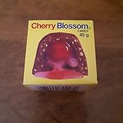 LOWNEY Chocolate Candy Cherry Blossoms, 24 Count: Amazon.ca: Grocery