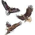 Amazon.com: PLIGREAT 3 Pcs Flying Bald Eagles Birds Wall Stickers ...