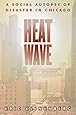 Heat Wave: A Social Autopsy of Disaster in Chicago (Illinois ...
