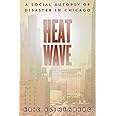Heat Wave: A Social Autopsy of Disaster in Chicago: Klinenberg, Eric ...