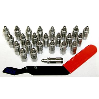 Lifters Set of 24 with Lifter Tool - BIG BORE for Bahrain | Ubuy