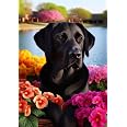 Amazon.com : Black Labrador - Best of Breed DCR Spring Garden Flag ...