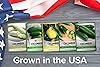 Gardeners Basics, Cucumber Seeds for Planting Outdoors 5 Variety Pack ...
