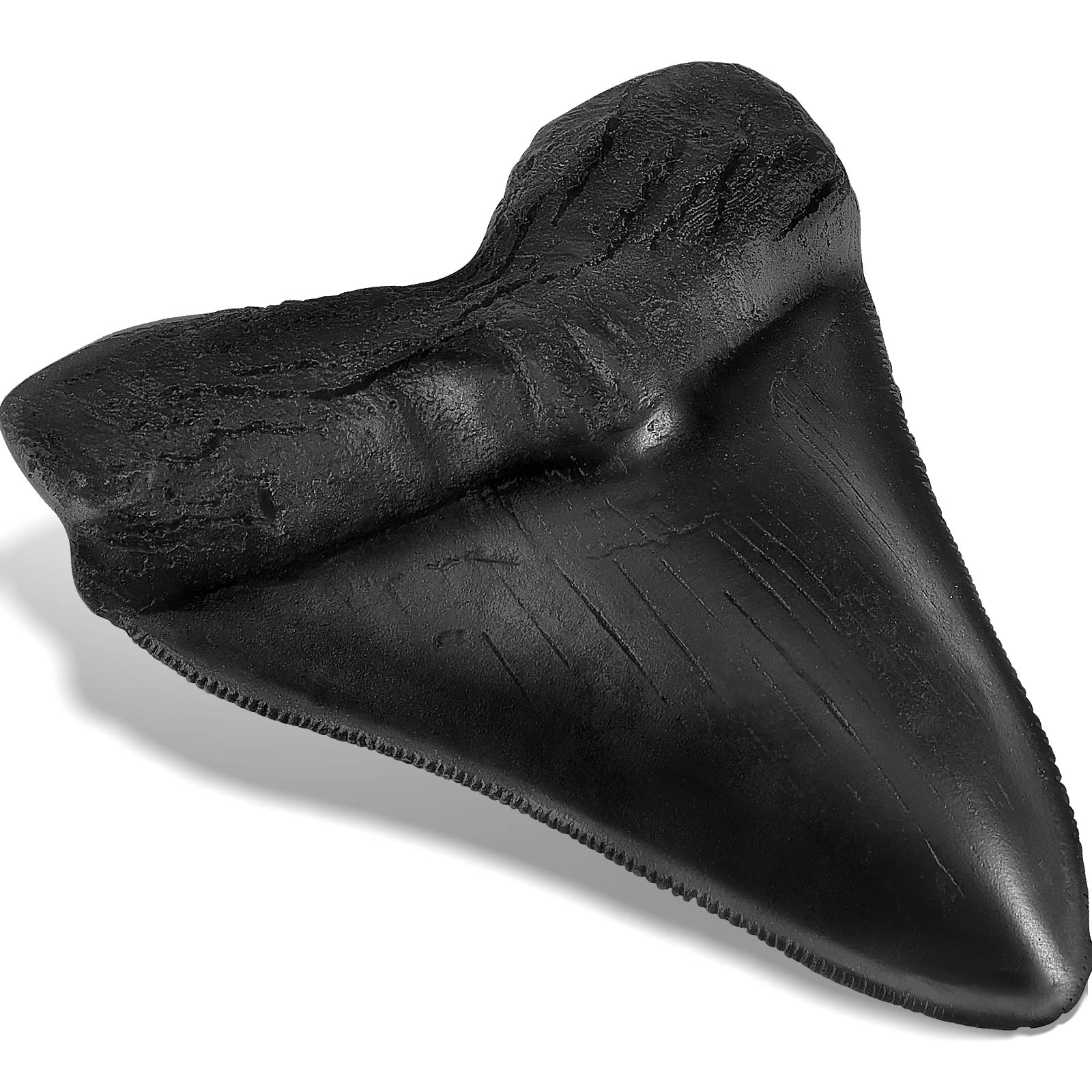 Mua 5.5 Inch Shark Tooth Toys Megalodon Tooth Fake Shark Teeth Fossils ...