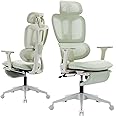 Amazon.com: Ergonomic Mesh Office Chair with Retractable Footrest ...