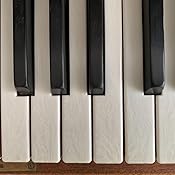 Amazon.com: Piano Keytops - Piano Key Replacement - Simulated Ivory ...