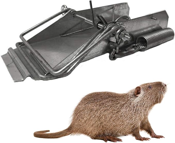 Trap for Muskrat - Rat Traps Outdoor - Rodent Traps - Ouell Traps ...