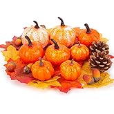 Amazon.com: Winlyn 60 Pcs Assorted Small Artificial Pumpkins and Gourds with Acorns Pinecones ...