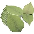 Amazon.com: 600 Sheets Cute Tree Leaf Sticky Notes/Paper Memo Self ...