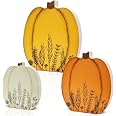 Amazon.com: Fall Decoration for Home 3PCS Thanksgiving Pumpkin Decor ...