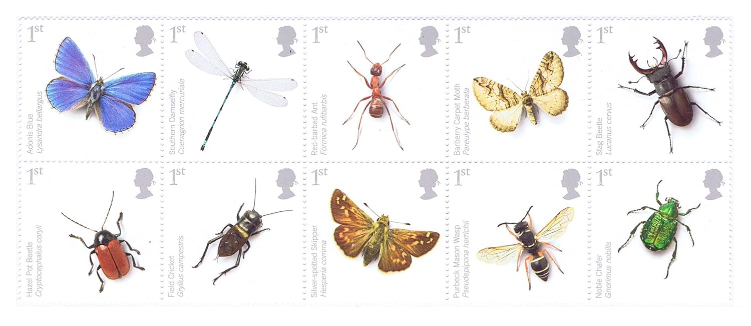 Insect stamps - 10 First Class Royal Mail Mint Stamps. 2008 Insects ...