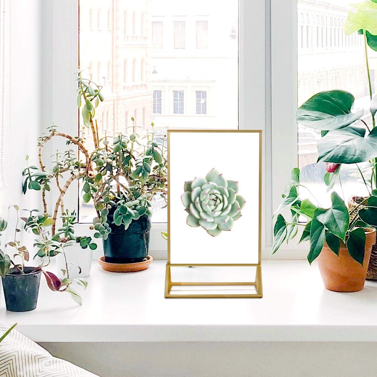 Photos and Art Display Double Sided Table Menu Holders Picture Frames ...