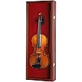 Amazon.com - Violin Display Case Violin Case Hanger Stand 33" Height ...