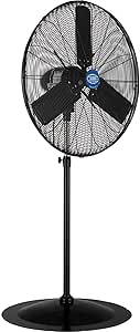 Amazon.com: Global Industrial Outdoor Oscillating Pedestal Fan, 30 ...