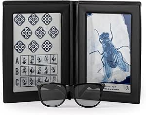 Amazon.com: Stereo Fly Vision Test (SO001) for Evaluation of Gross ...