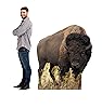 Cardboard People Bison Life Size Cardboard Cutout Standup in Saudi ...