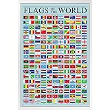 Amazon.com: Flags of The World Classroom Reference Chart National ...