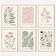 Amazon.com: Boho Botanical Wall Art Prints Blush Pink Canvas Wall Decor ...