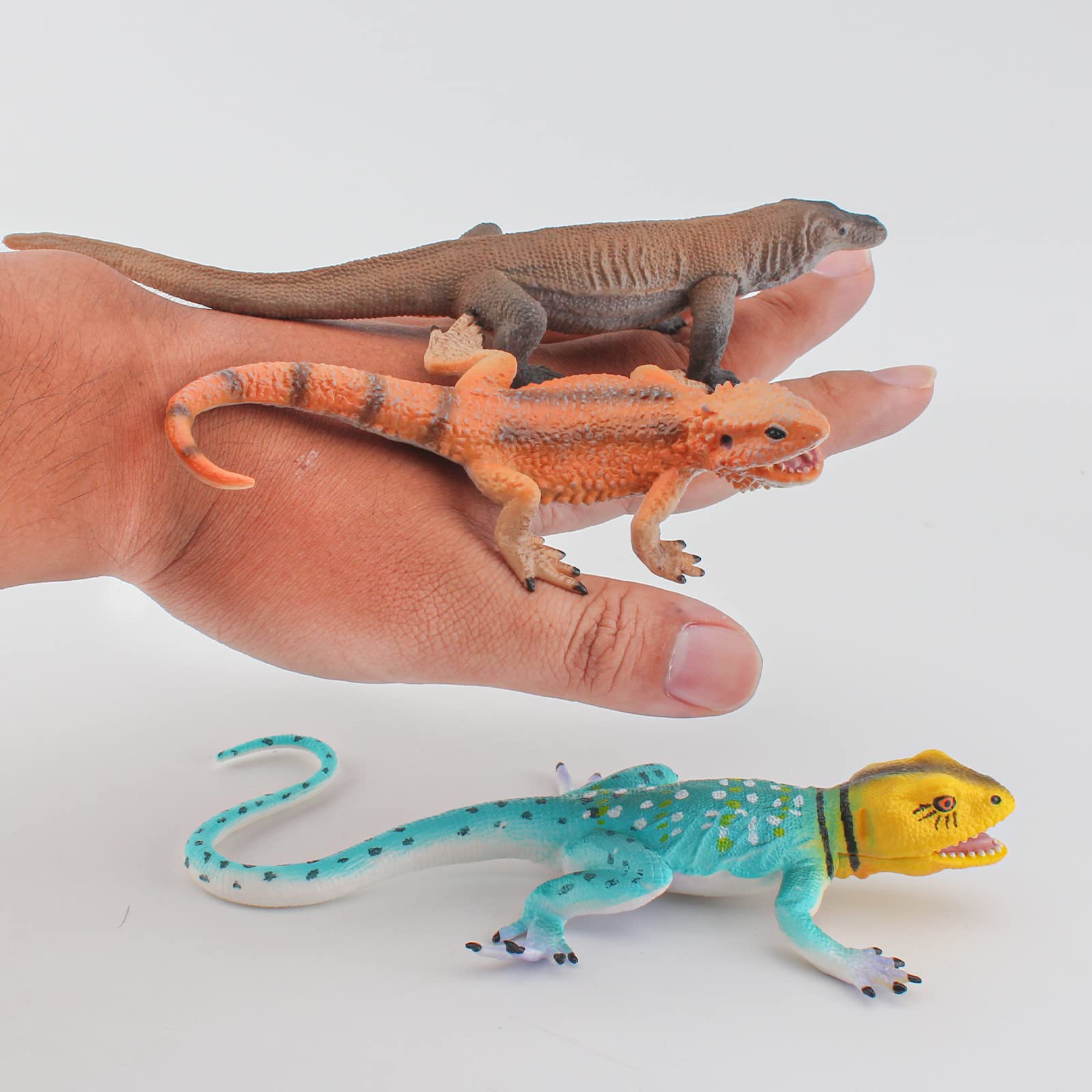 Mua BRETOYIN Realistic Komodo Dragon Figures Bearded Dragon Toys 5PCS ...