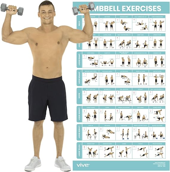 Vive Dumbbell Exercise Poster Home Gym Workout For Upper Lower Full 
