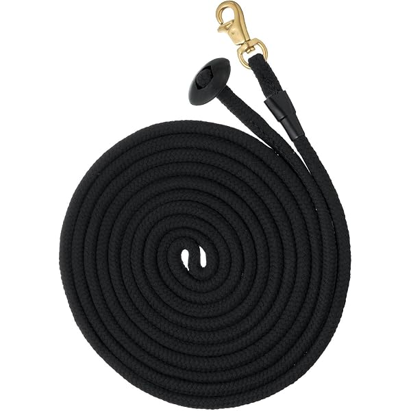 Brown Training Line Horse Fare Cotton Lunge Line - 1 Inch X 35 Feet ...