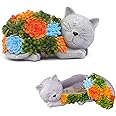 Amazon.com: Fashionoda Outdoor Cat Key Hider Statue - Cute Succulent ...