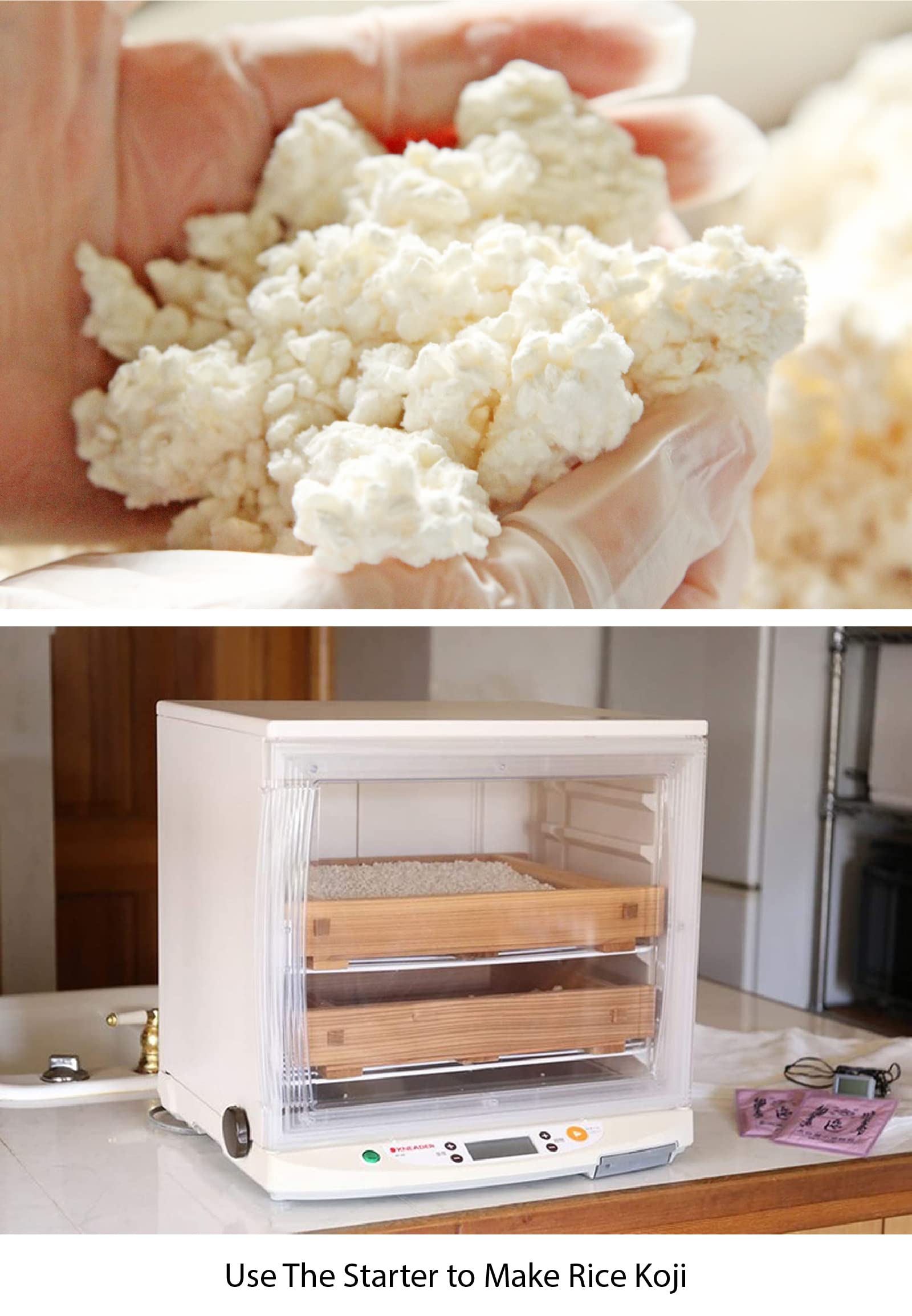 Mua Kawashimaya Koji Starter Spores Powder - Kairyou Chouhaku Kin ...