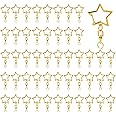 Amazon.com: 50 Pcs Star Lobster Claw Clasp Star Keychain Clip Gold Star ...