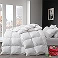 Amazon.com: DAICO Goose Feather Down Comforter Full/Queen Size -All Season White Duvet Insert ...