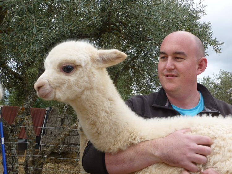 Alan Parks – Audio Books, Best Sellers, Author Bio | Audible.com