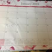 Amazon.com : Blue Sky 2018 Monthly Desk Pad Calendar, 22" x 17", Orchid ...